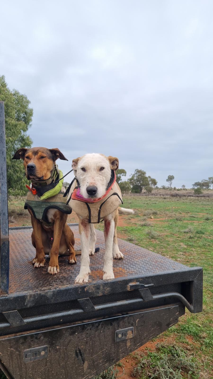 Photo 41 of 41 in Wall Photos