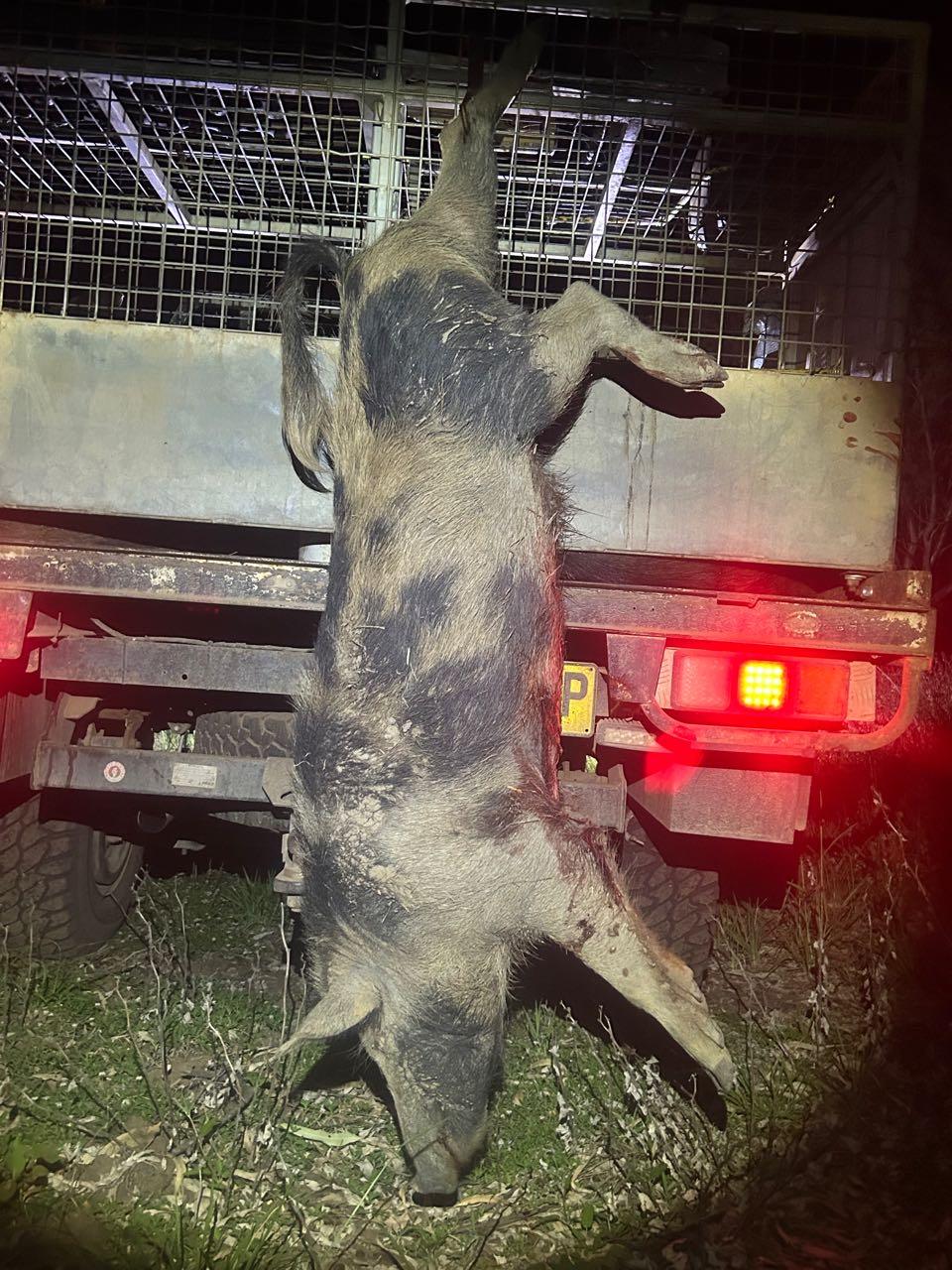 Group Profile - Uhunt