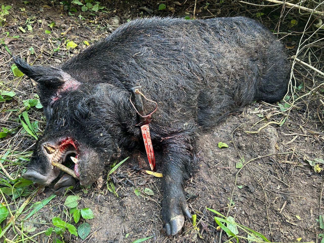 Photo 66 of 67 in Wall Photos