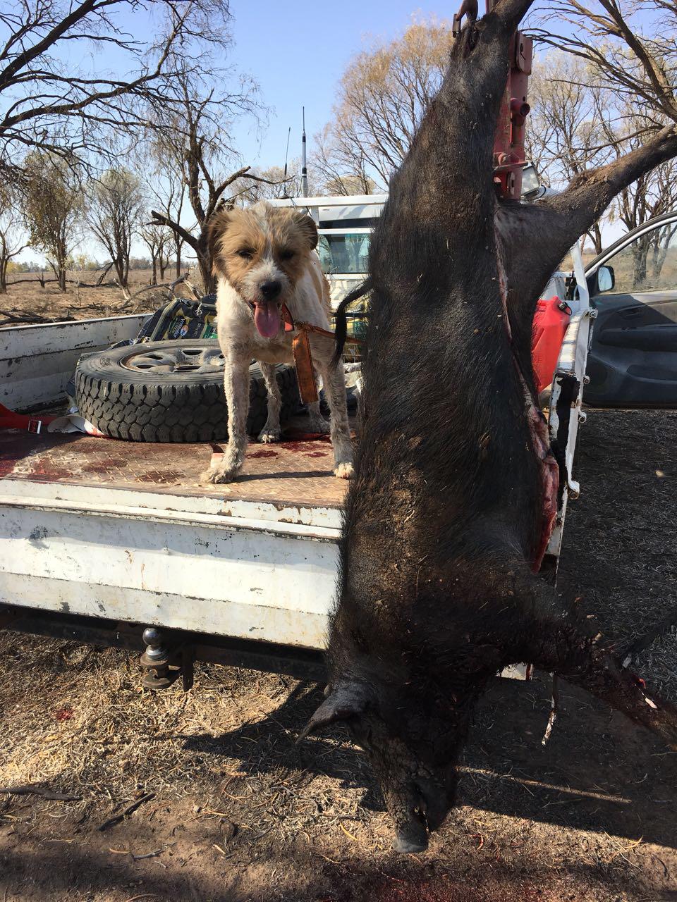 Photo 10 of 16 in Wall Photos