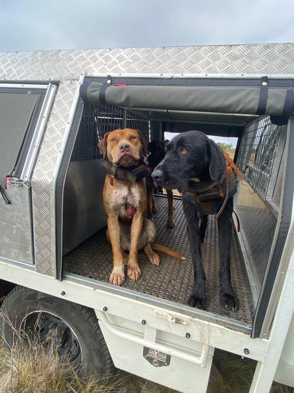 Photo 9 of 16 in Wall Photos