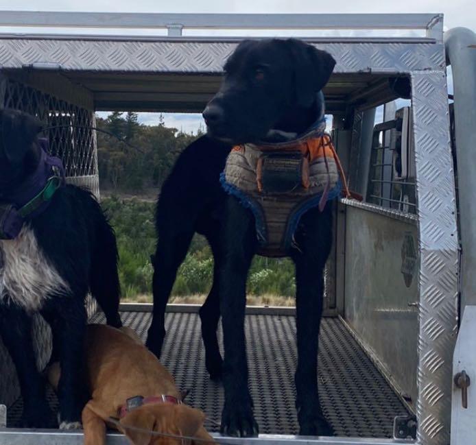 Photo 11 of 21 in Wall Photos