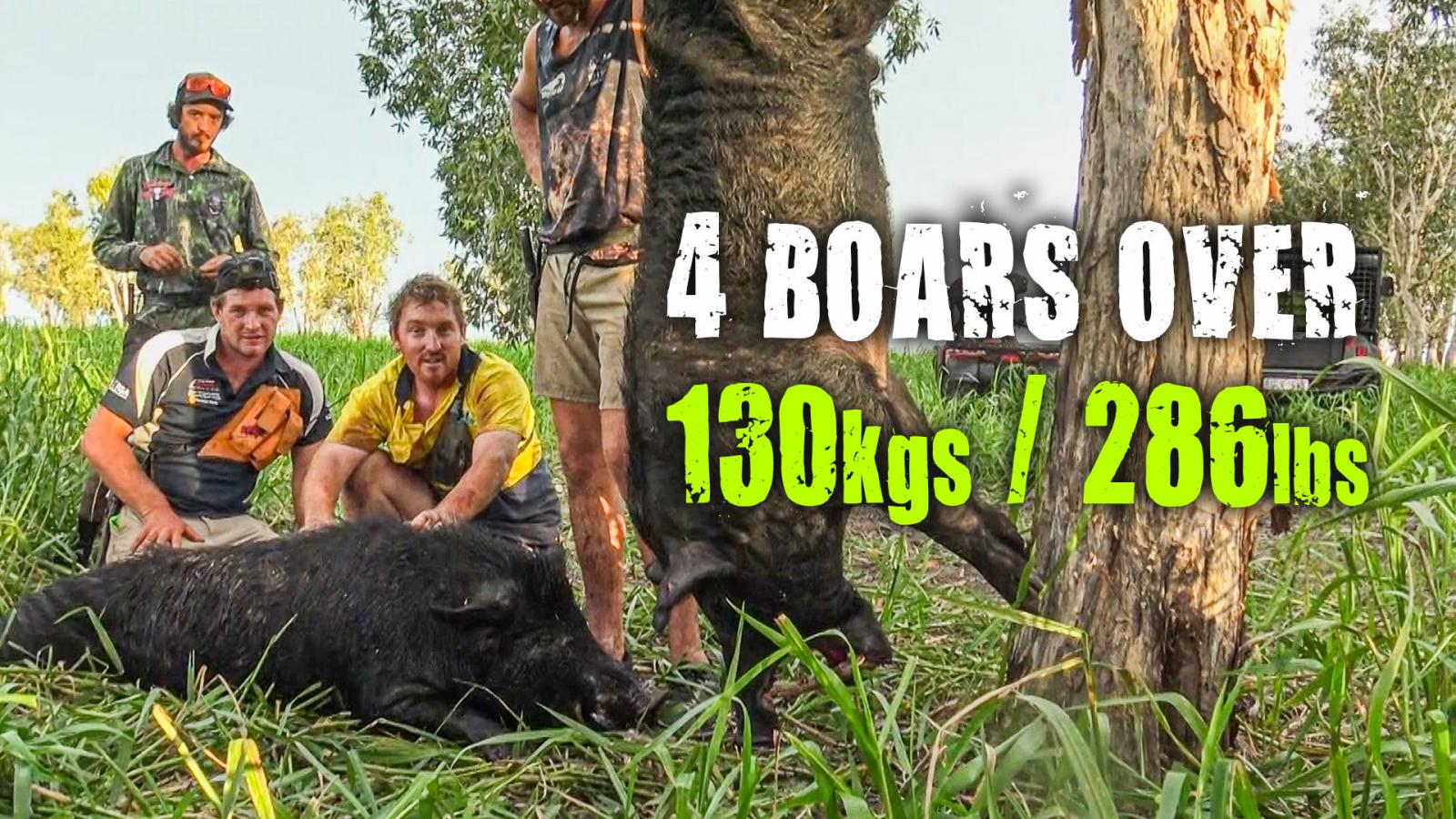 (FREE) - #18 - Grunter Hunter Championships